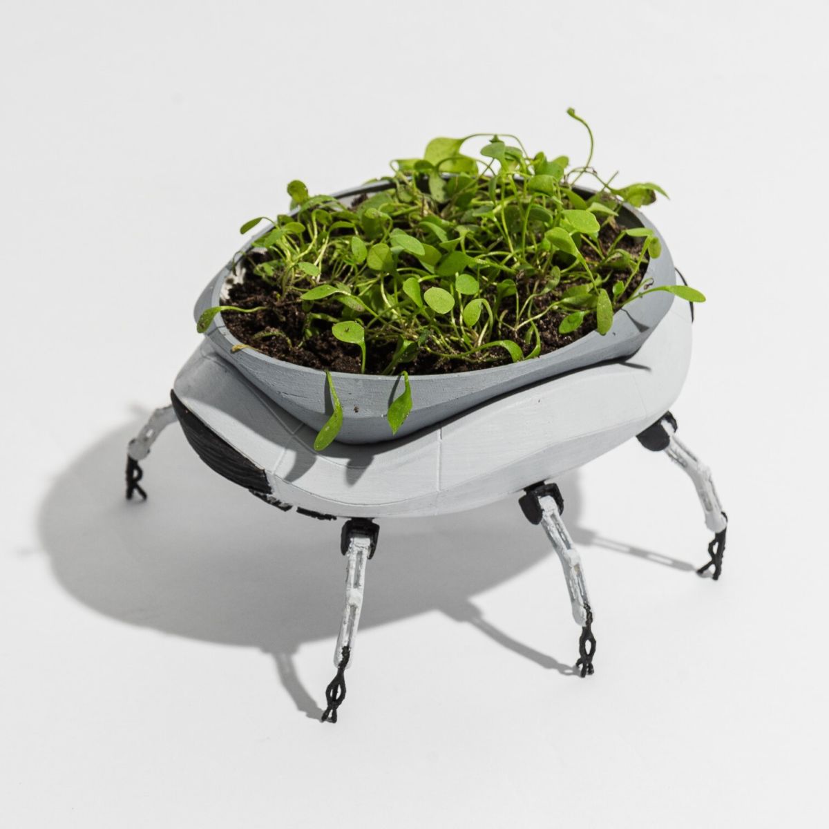 PROJECT – Nomadische boerderijrobots brengen oogsten naar ons toe ...